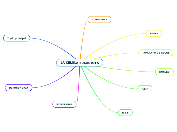 LA CELULA EUCARIOTA - Mind Map